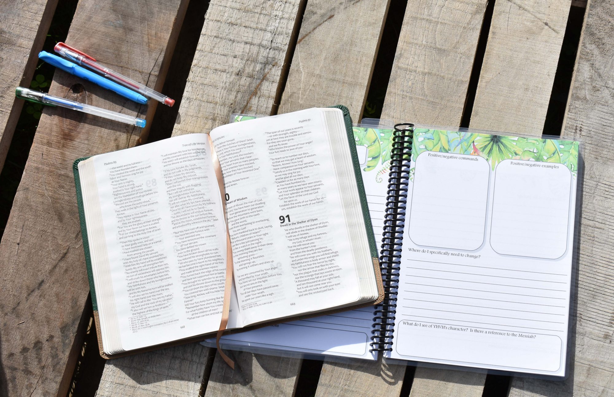 My Bible Journal - Torah Family Living