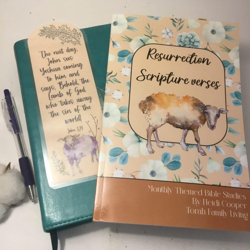 Scripture copywork books, choose your title - Torah Family Living