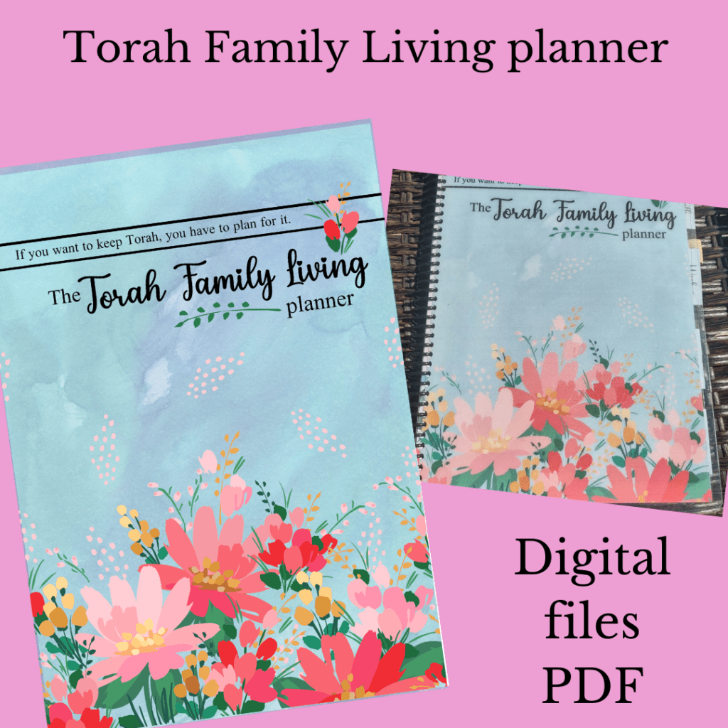 Build your own planner (pink and blue) - Torah Family Living